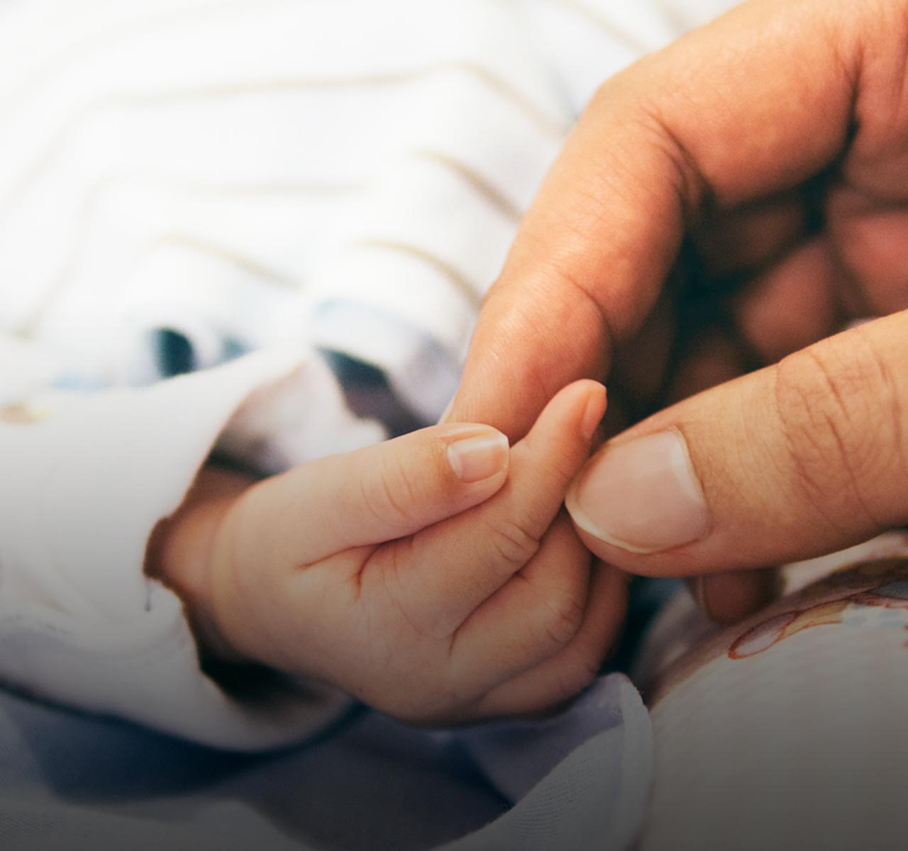 Aliquam erat ipsum – BeCityHall – BeTheme