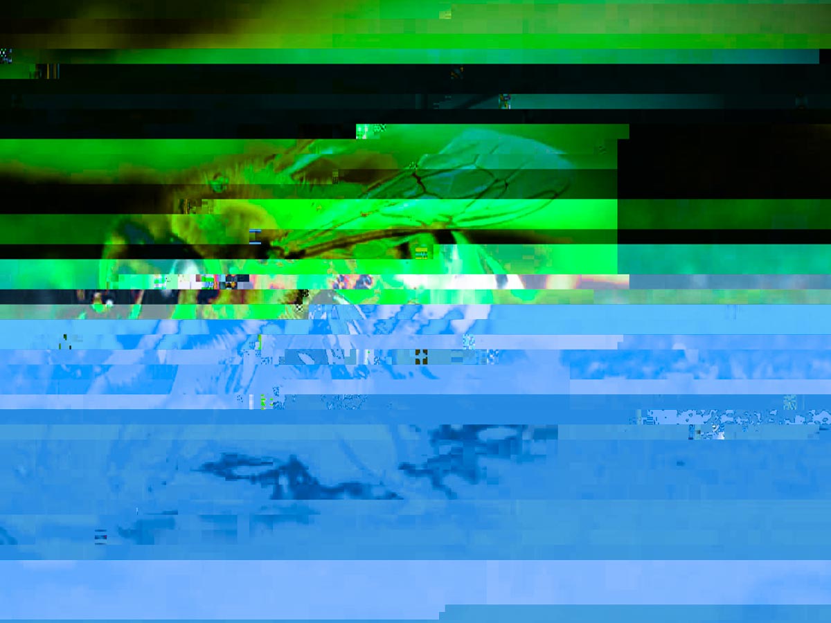 Praesent tristique sem – BeElectronics – BeTheme