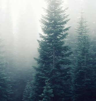 BePhotography – BeTheme