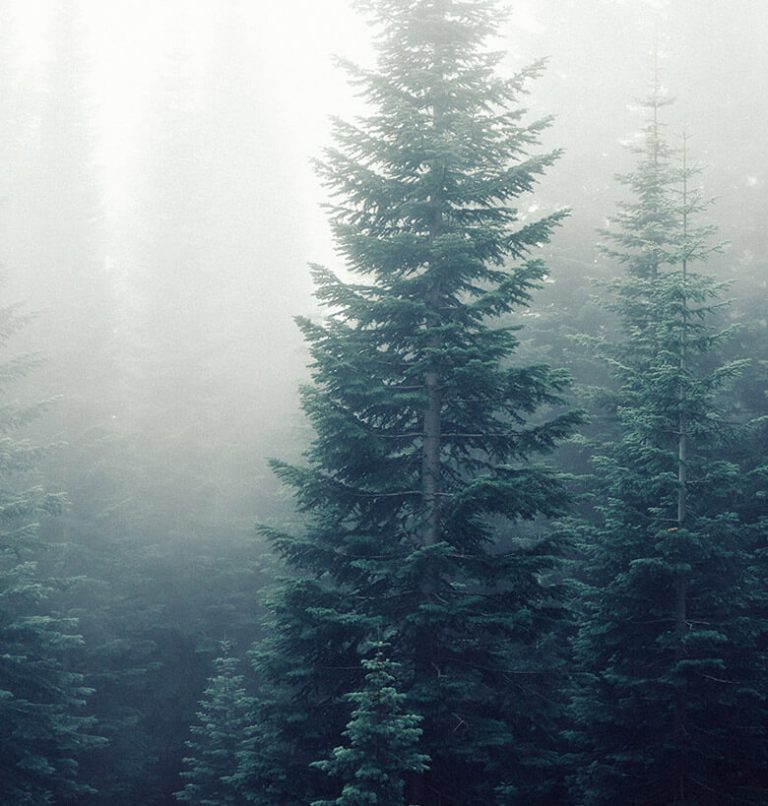 BePhotography – BeTheme